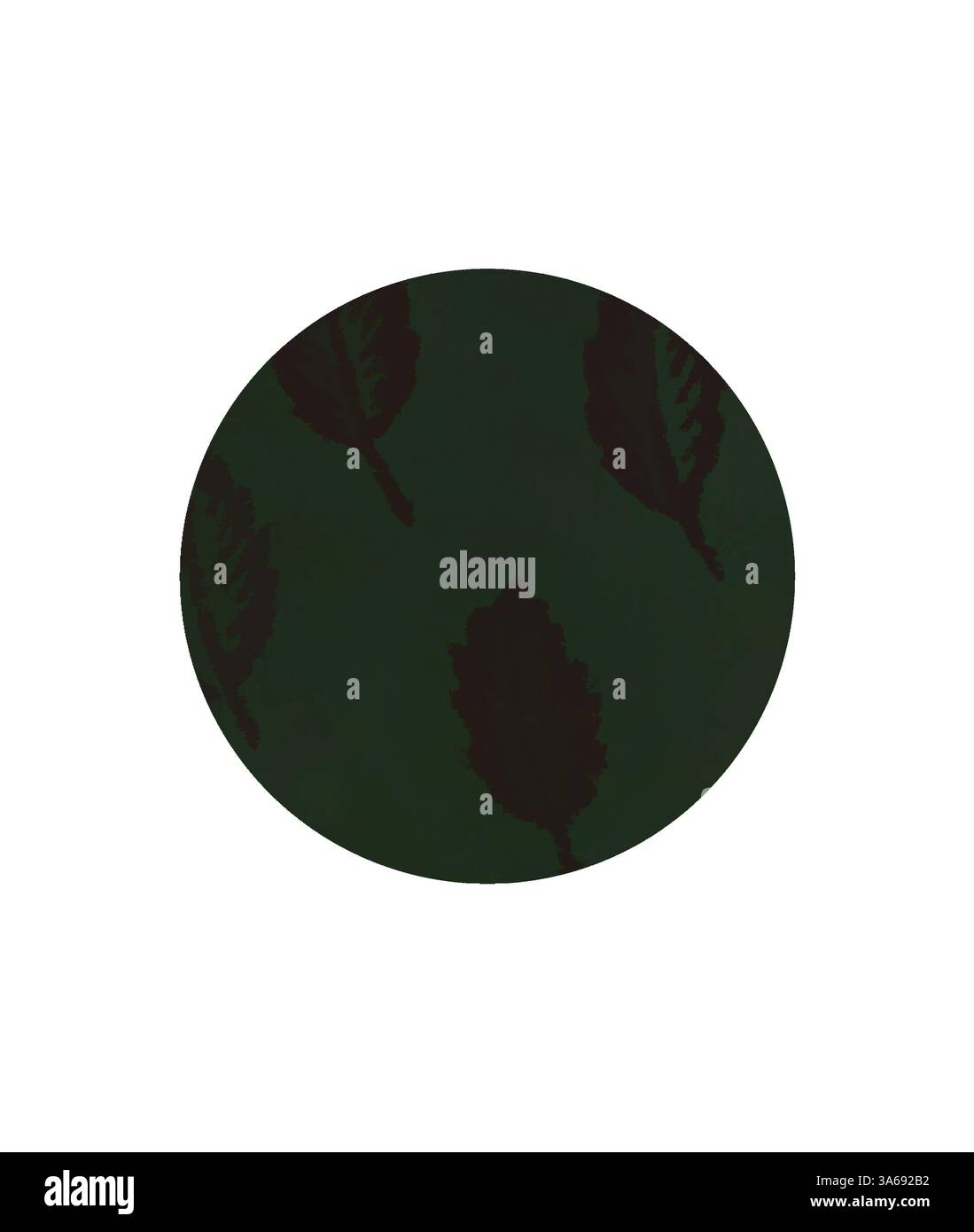 A circular design featuring a deep green background adorned with dark ...