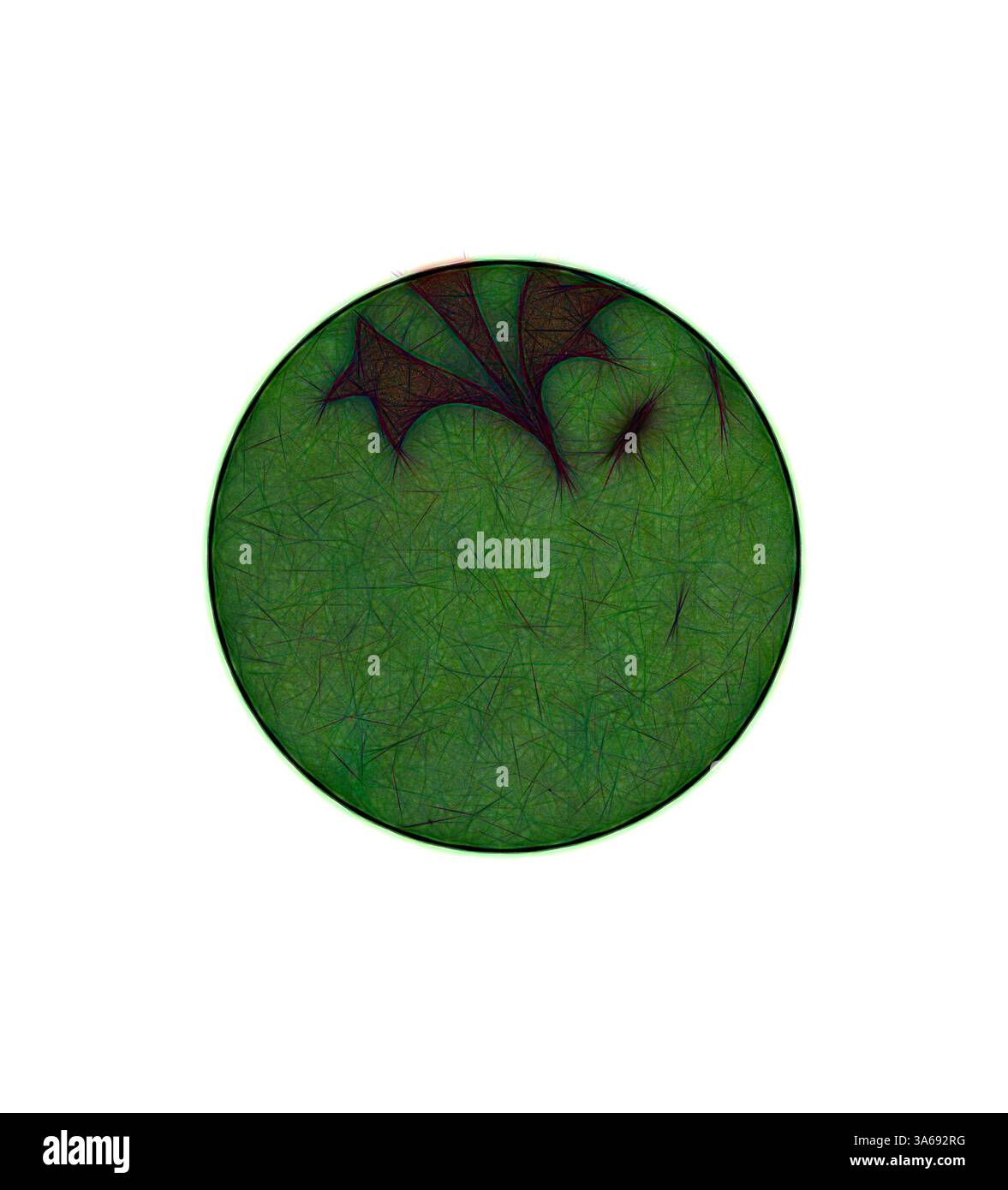 Vibrant abstract green background featuring Cut Out Stock Images ...