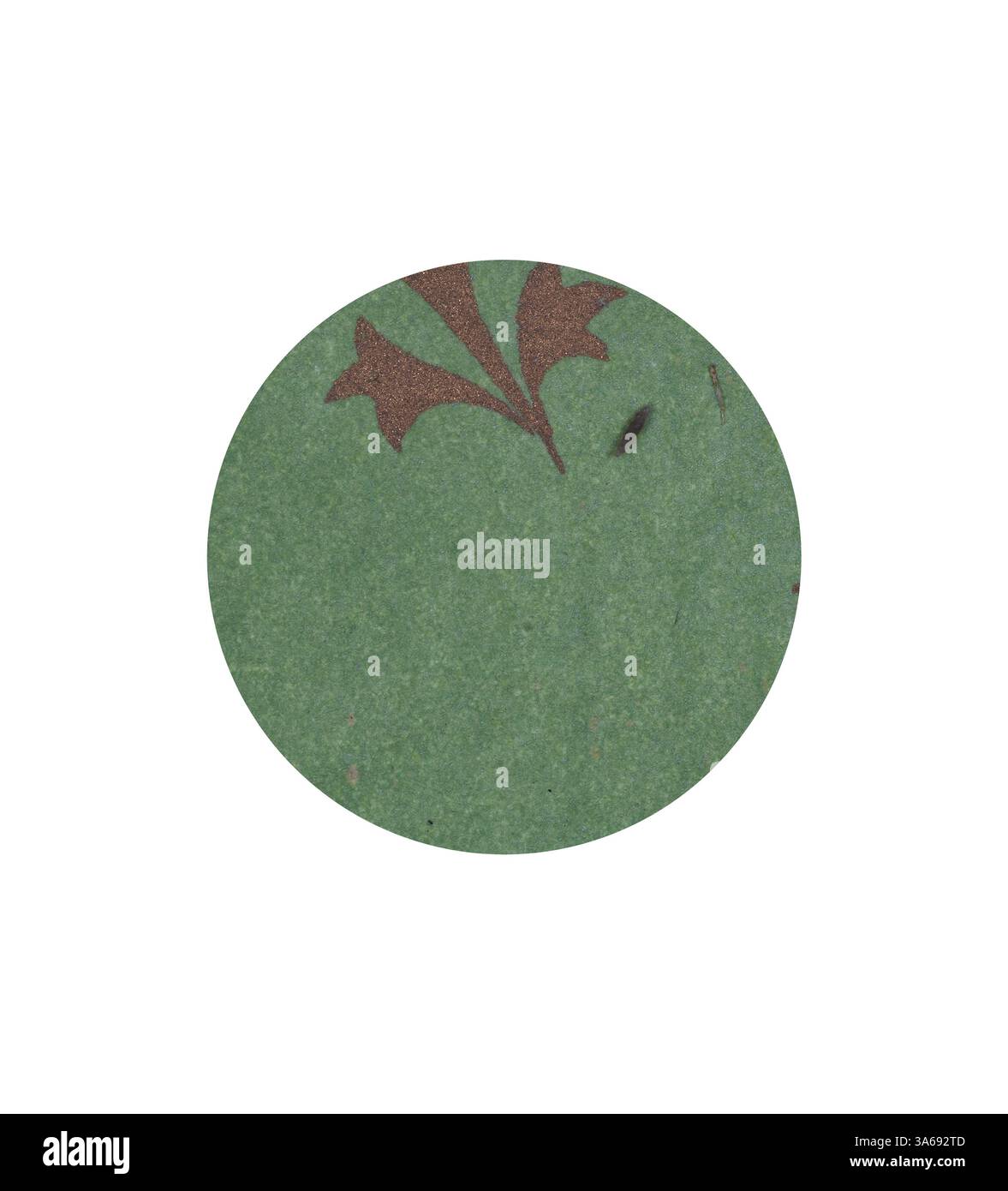 Featuring hints of green Cut Out Stock Images & Pictures - Alamy