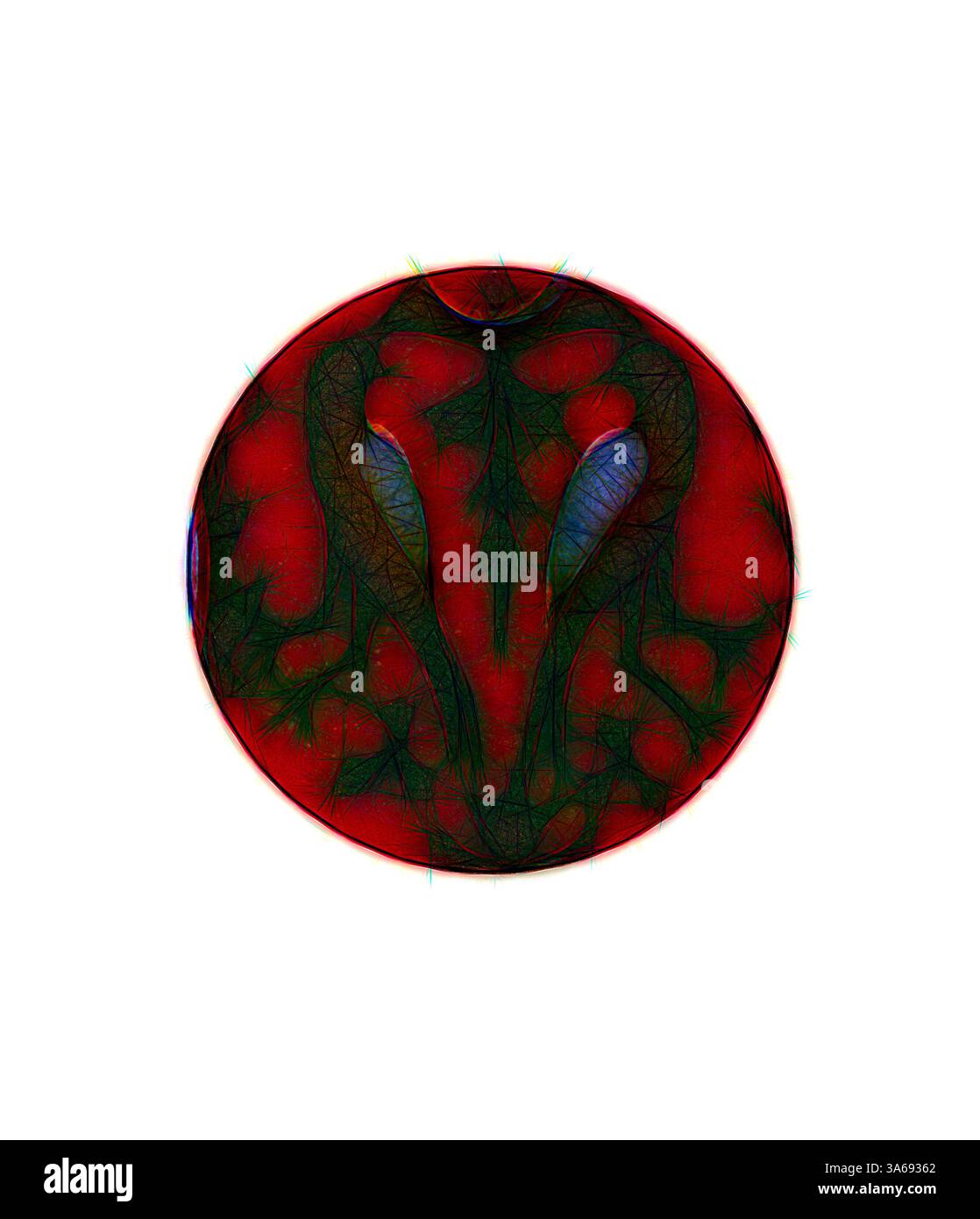 Intertwining patterns in deep red hi-res stock photography and images ...