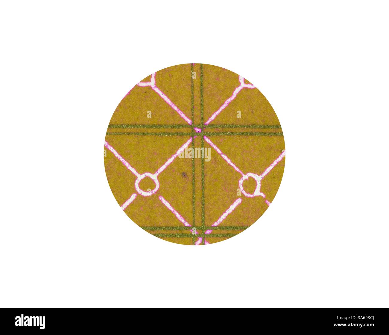 A circular design featuring an intricate pattern of intersecting lines, creating a grid with ...