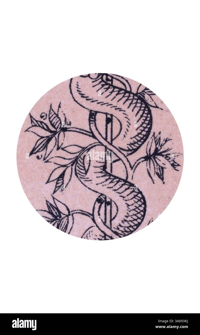 A detailed illustration of a caduceus entwined with leaves and vines ...