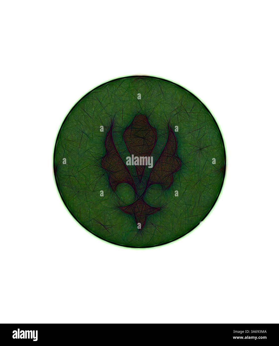 A circular emblem featuring a stylized floral design in shades of green ...