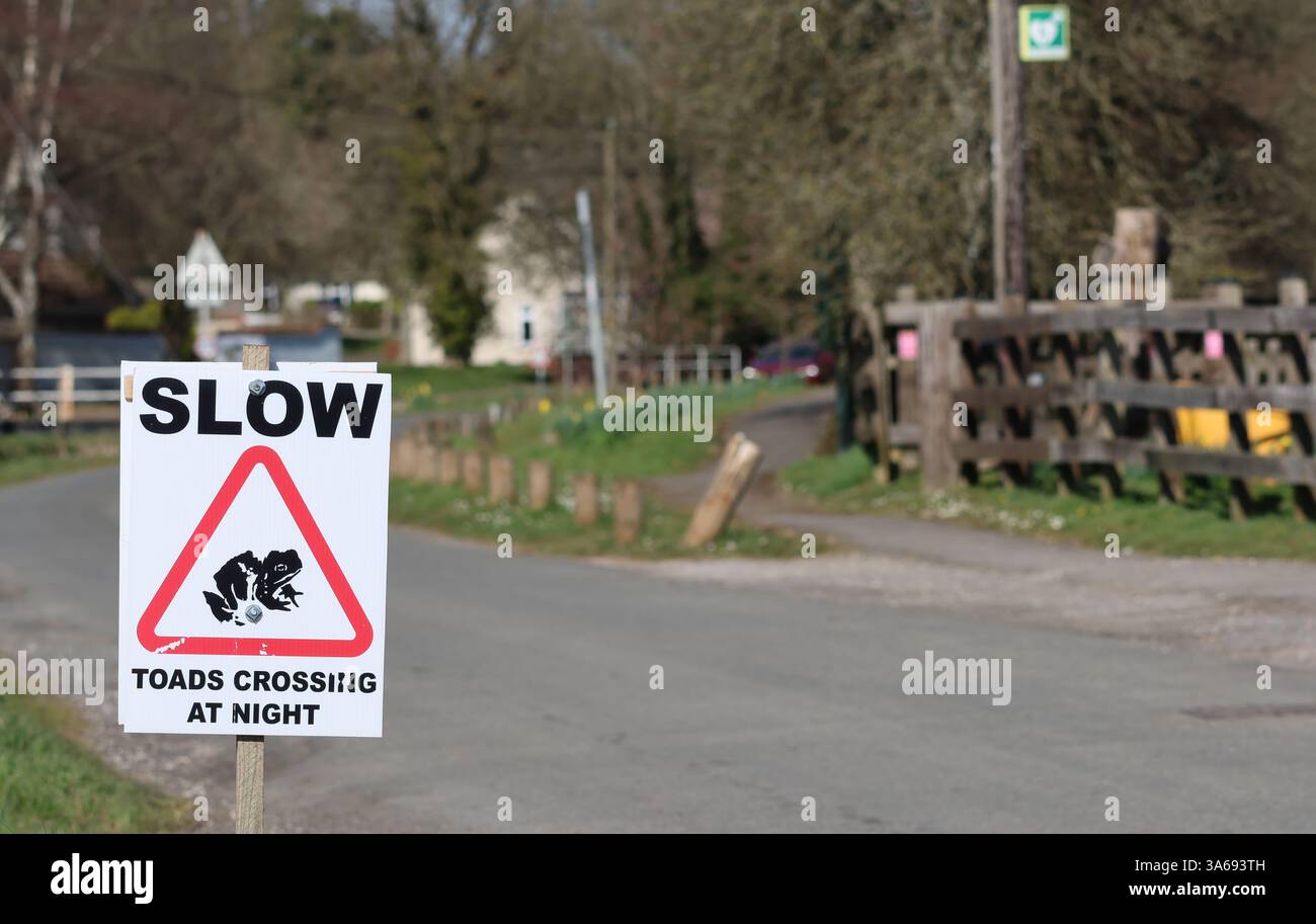 A road sign in an English rural village warning of toads crossing the ...