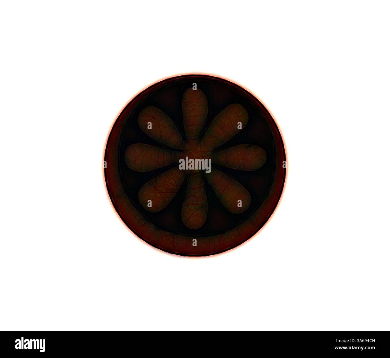 A circular design featuring a central flower-like pattern, with ...
