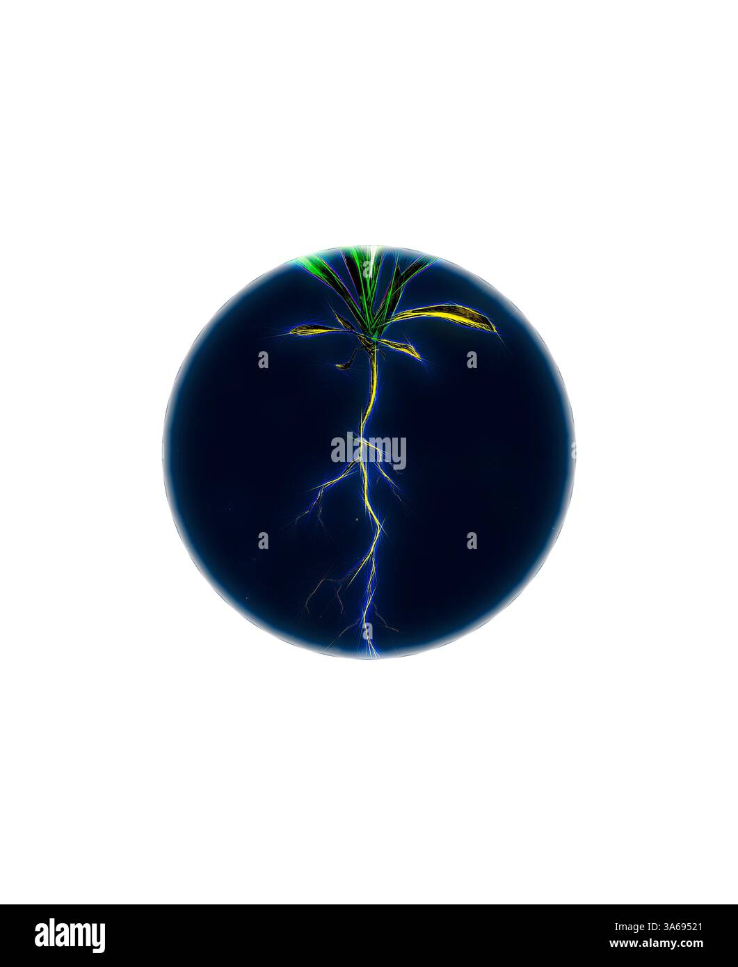 A vibrant plant emerges from a circular design, its roots illuminated ...