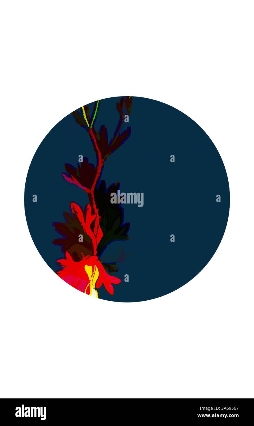 Showcasing their vibrant colors and distinctive shapes in a hi-res ...