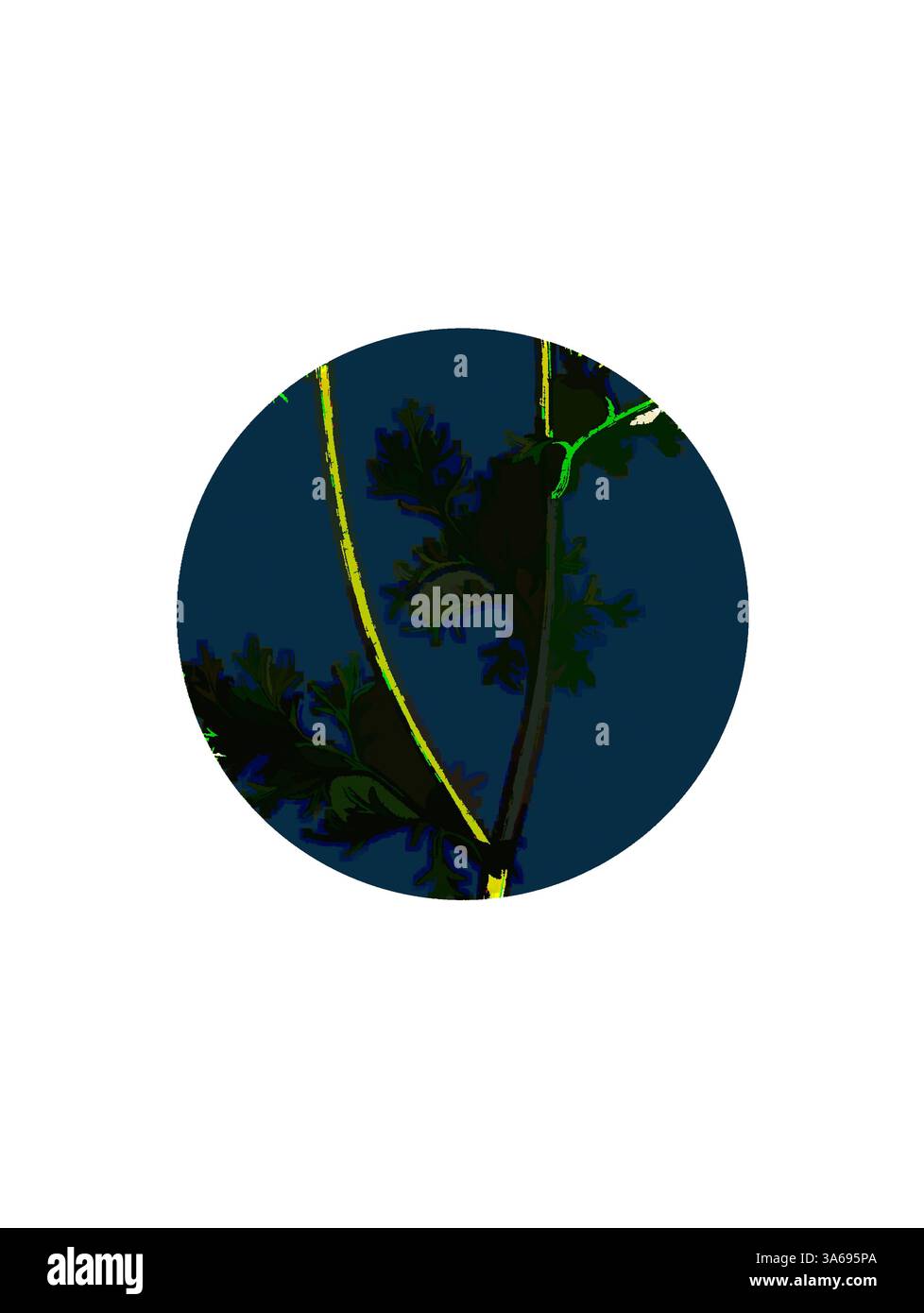 Textures in deep shades hi-res stock photography and images - Alamy