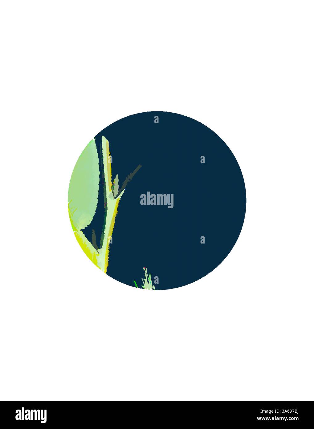 A stylized oval shape features contrasting colors, with subtle organic ...