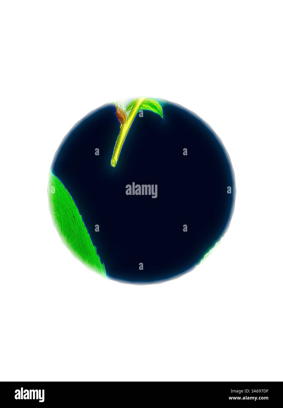 A stylized representation of an apple, featuring vibrant green leaves ...