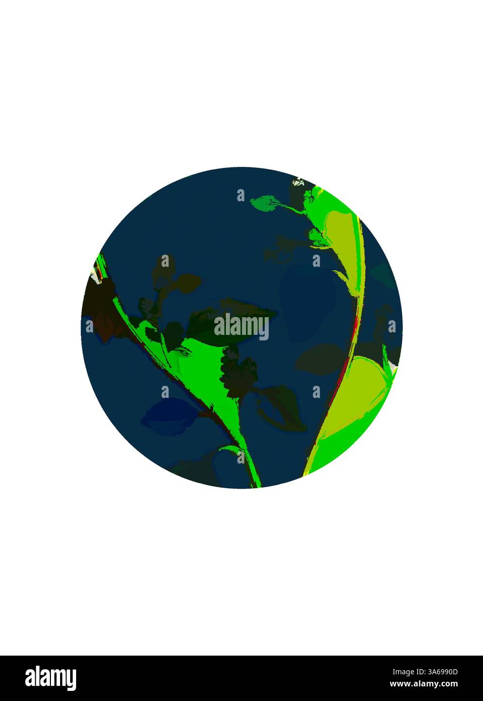 Transformed chenopodium vulvaria hi-res stock photography and images ...