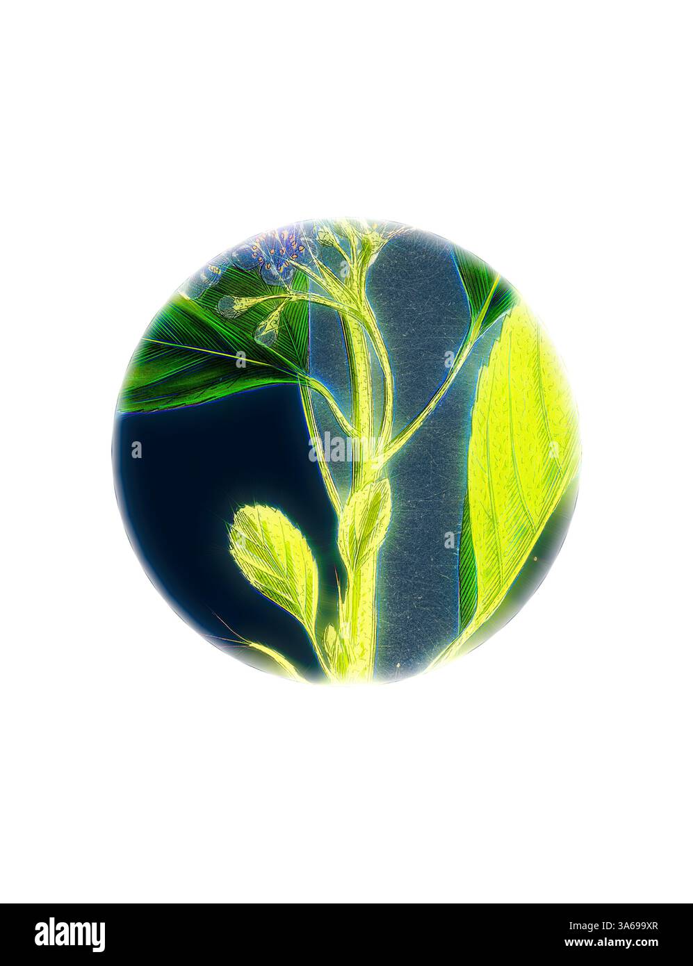 A vibrant, illuminated plant structure showcases delicate leaves and ...