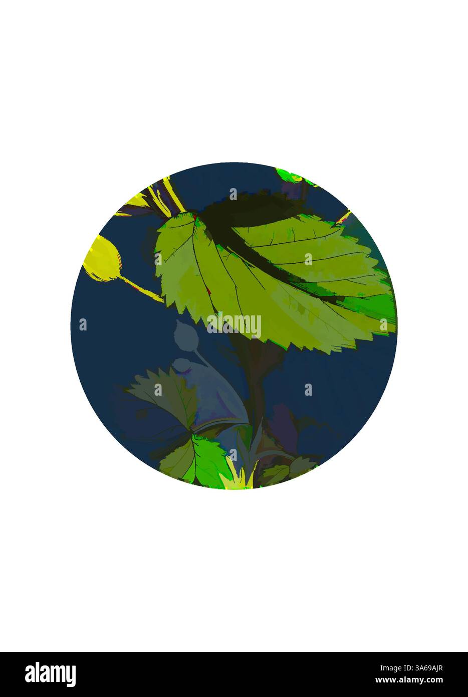 A close-up view of vibrant green leaves against a dark, contrasting ...