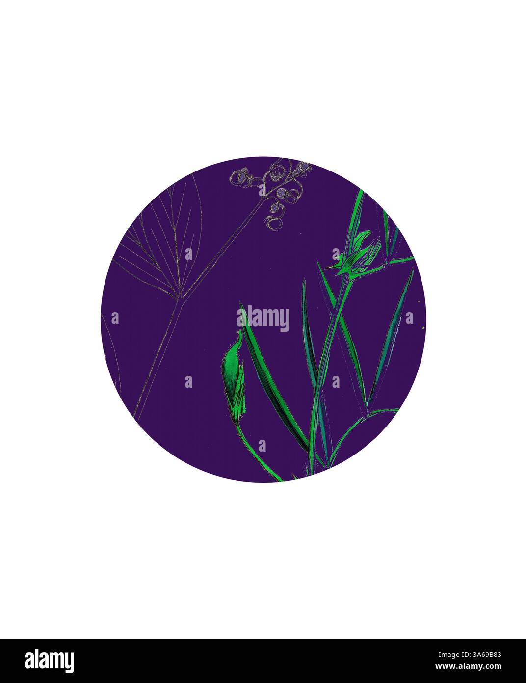 A circular design featuring delicate floral outlines in vibrant green ...