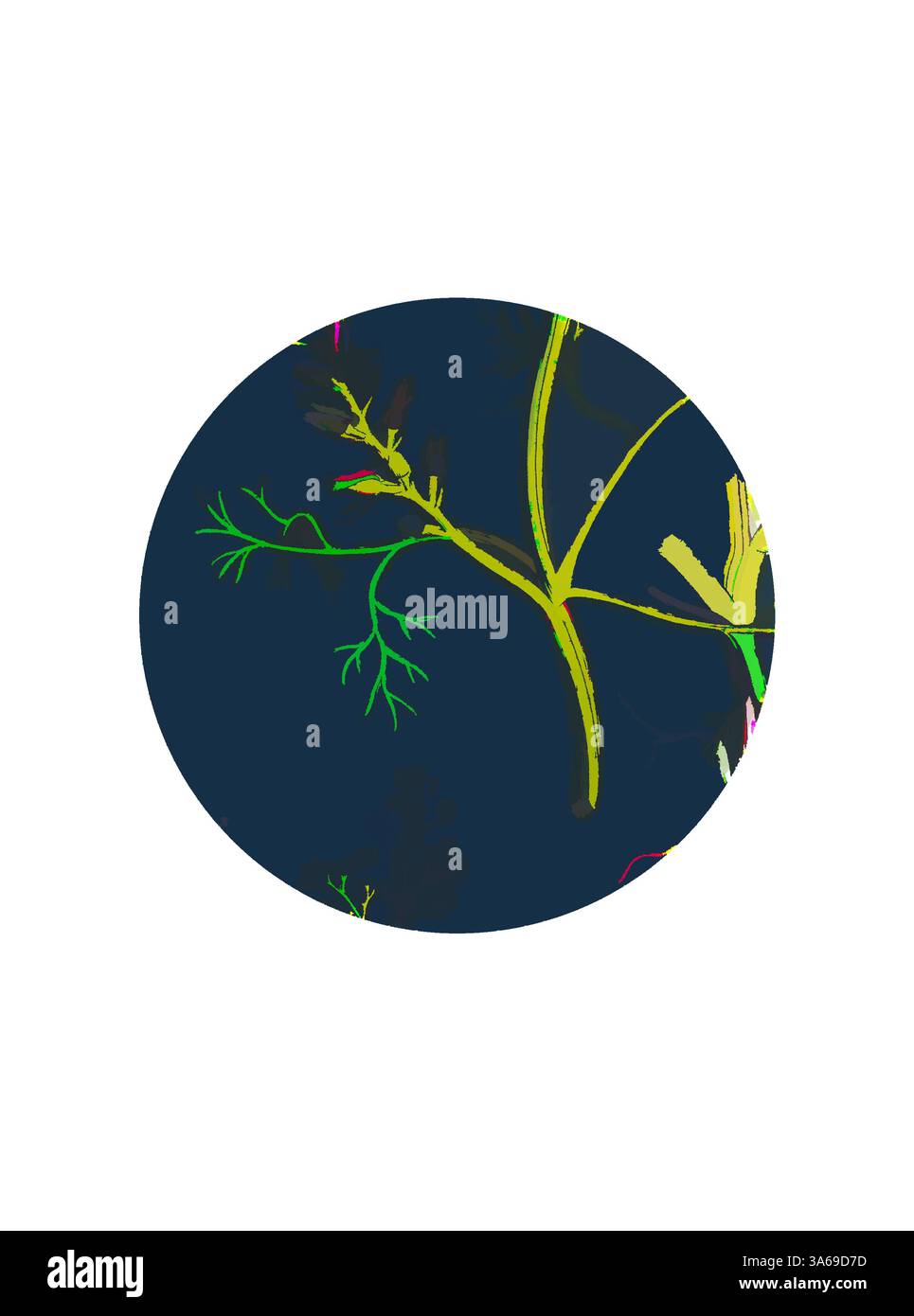 Abstract depiction of intricate botanical structures hi-res stock ...