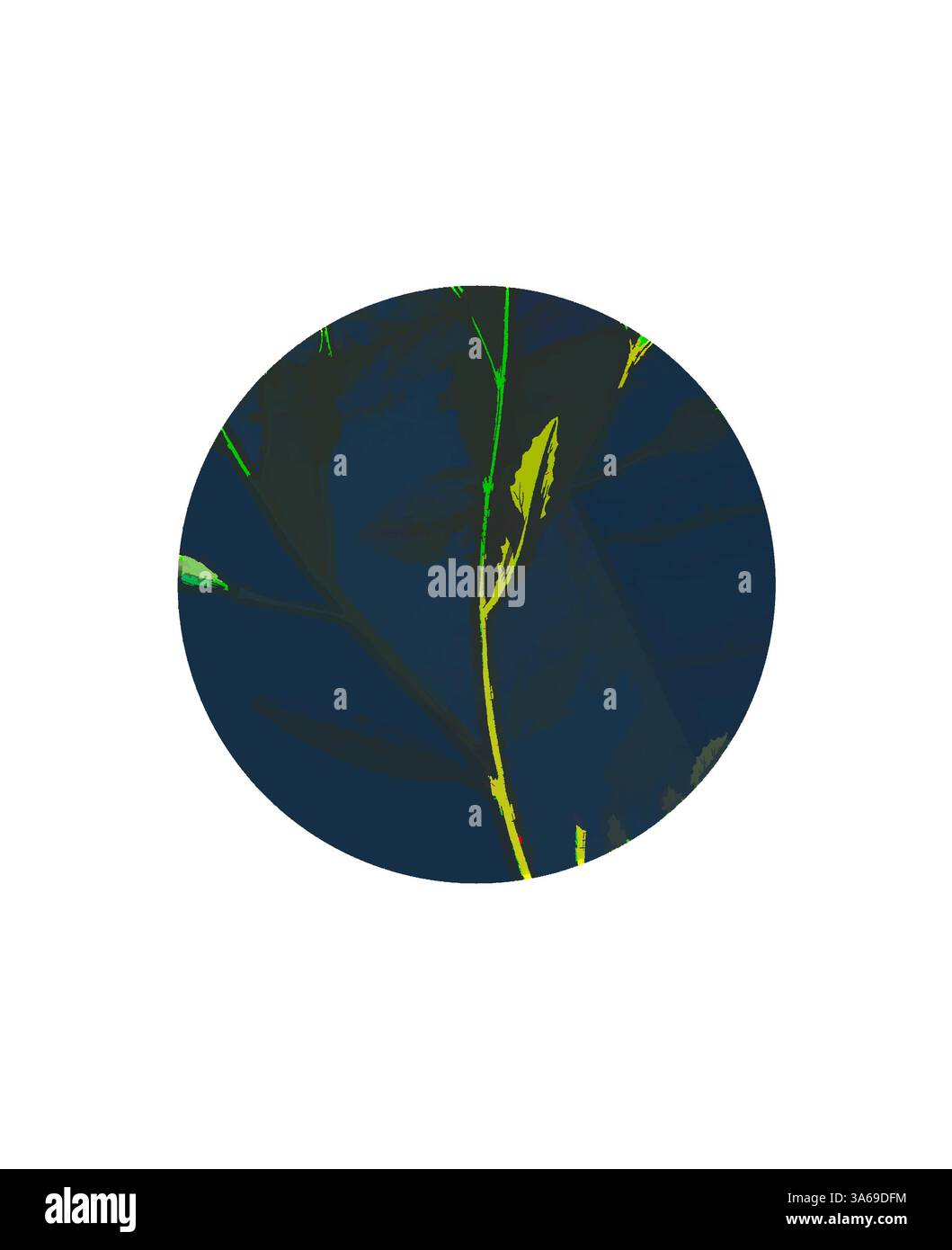 Emerging fashion Cut Out Stock Images & Pictures - Alamy