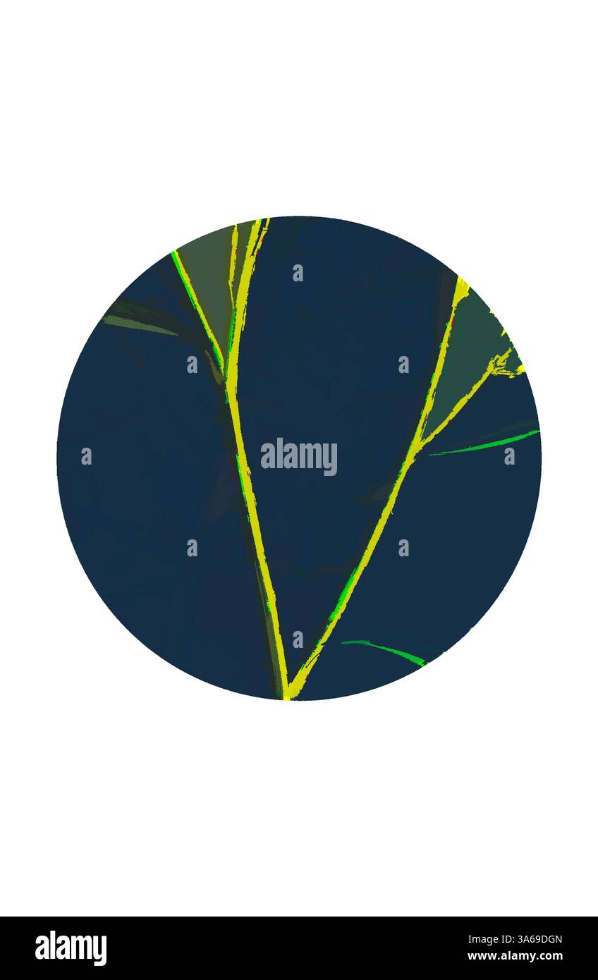 A delicate branch with slender twigs stands out against a deep ...