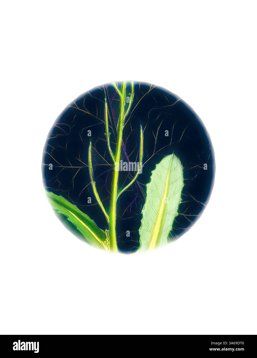 Delicate balance of natures structures hi-res stock photography and ...