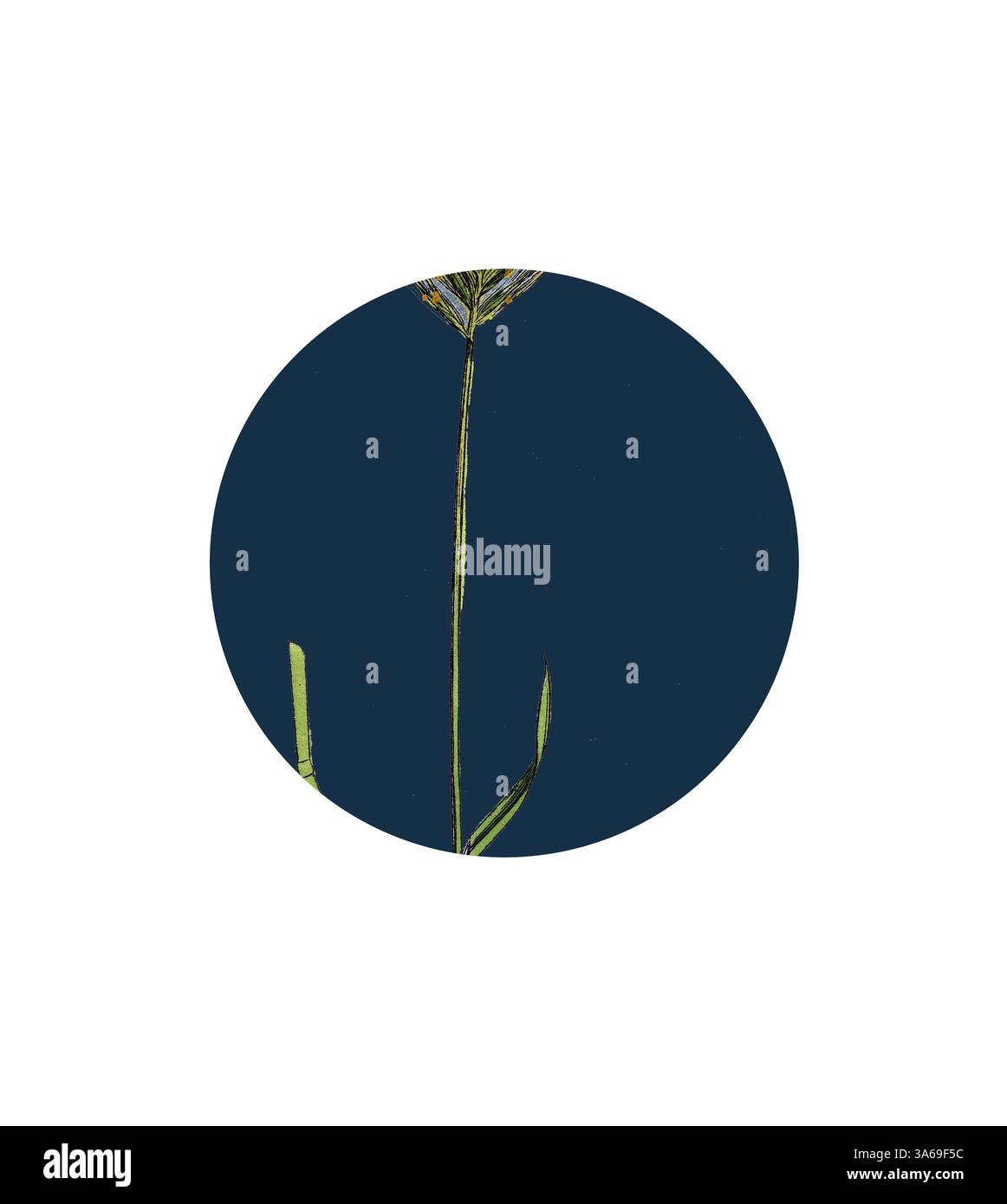 Contrasting circular backdrop in deep blue hi-res stock photography and ...