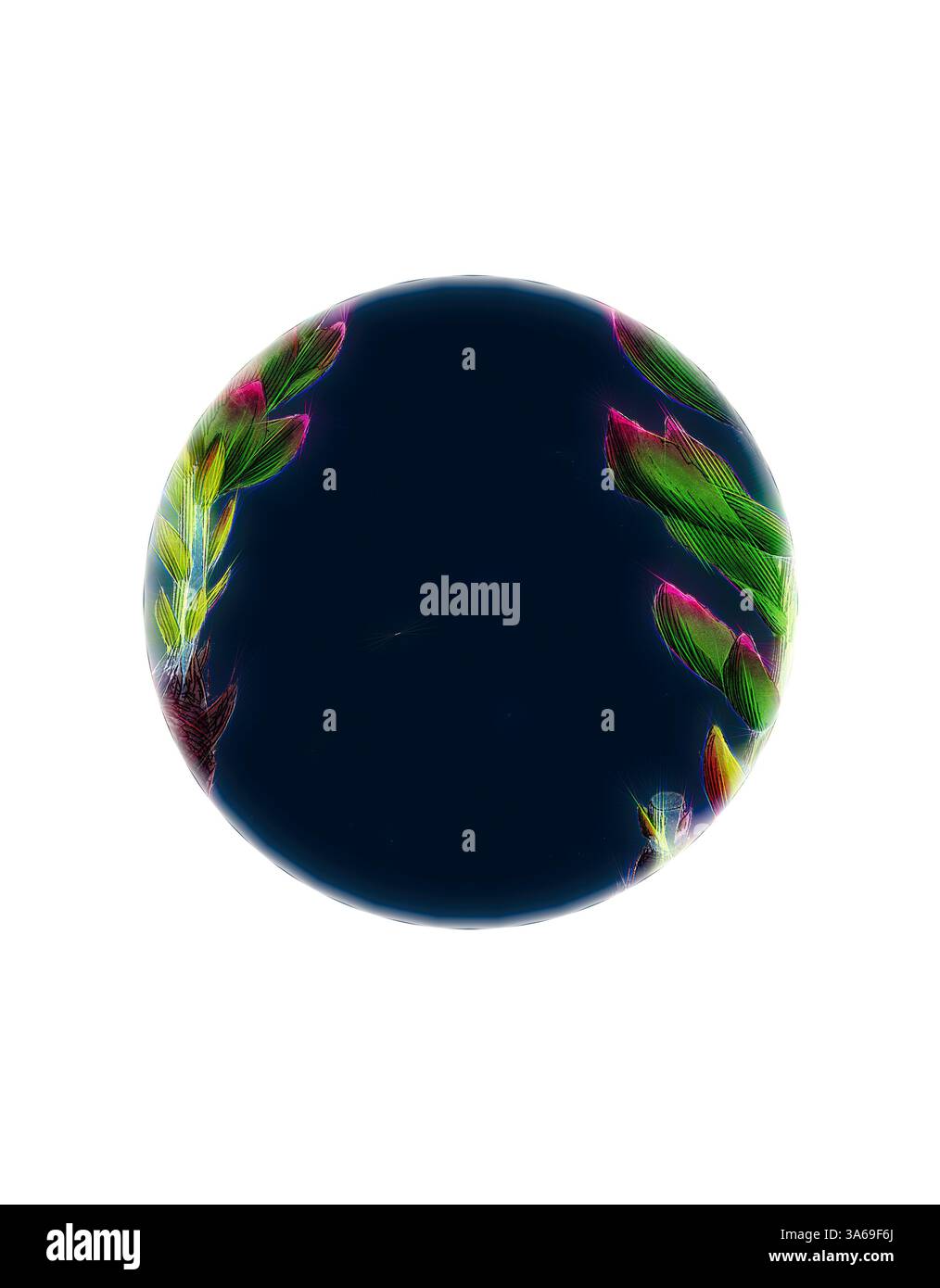 A circular design featuring vibrant, stylized foliage that contrasts ...