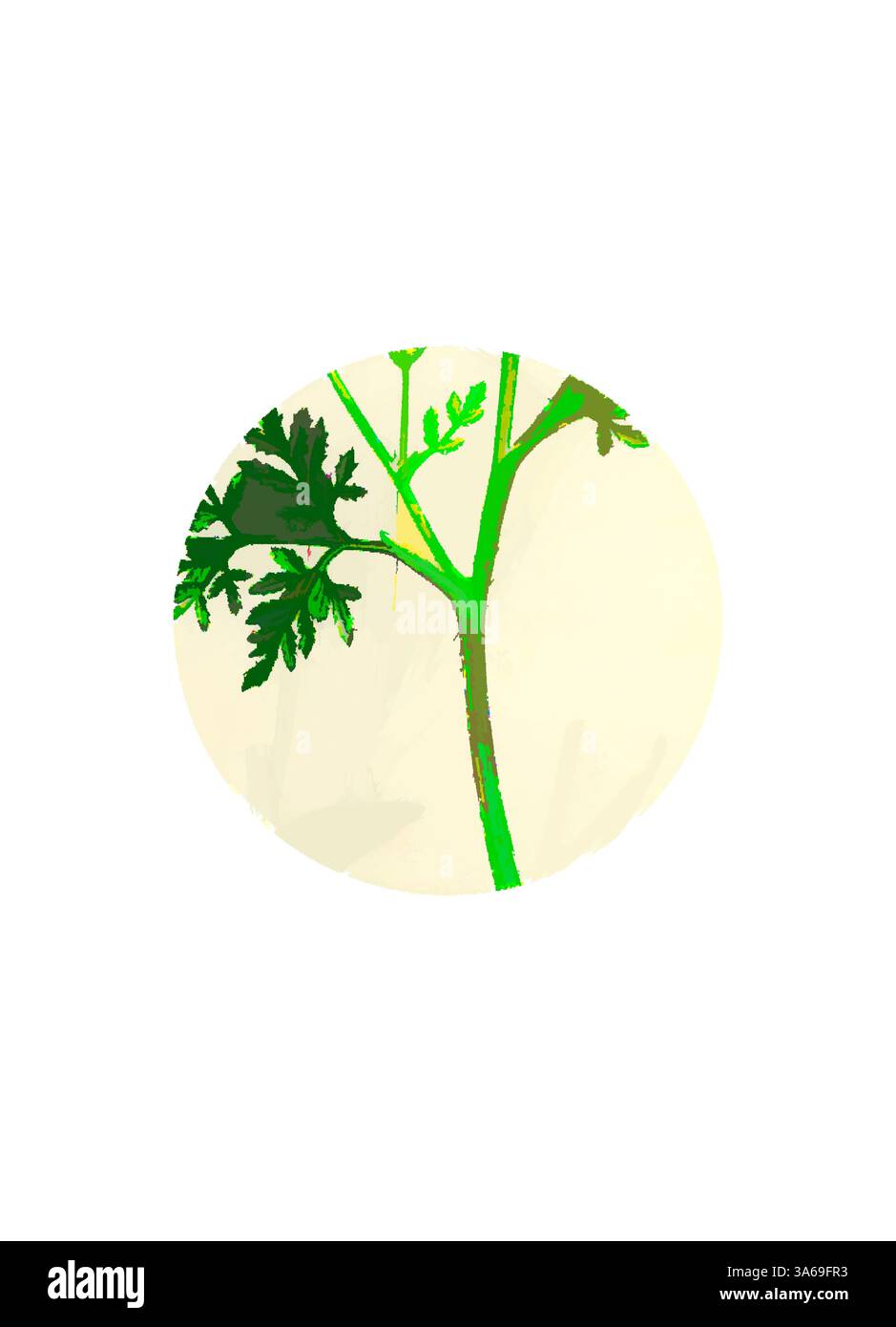 A stylized representation of a green plant with delicate leaves and ...