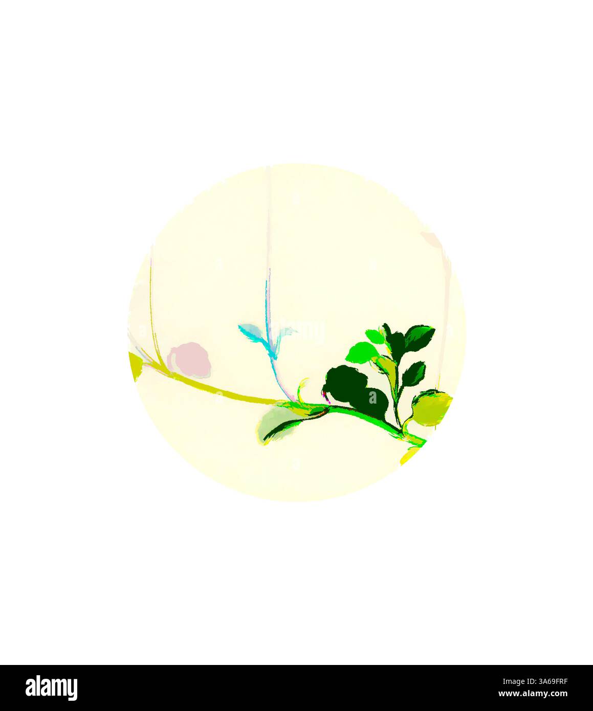 Transformed linnaea borealis two flowered linnaea hi-res stock ...