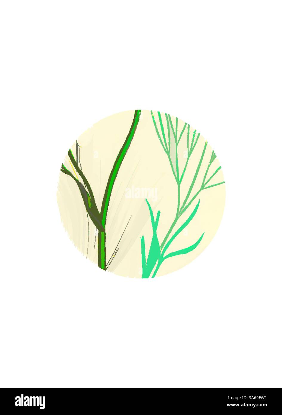 Minimalist representation of delicate green plants hi-res stock ...