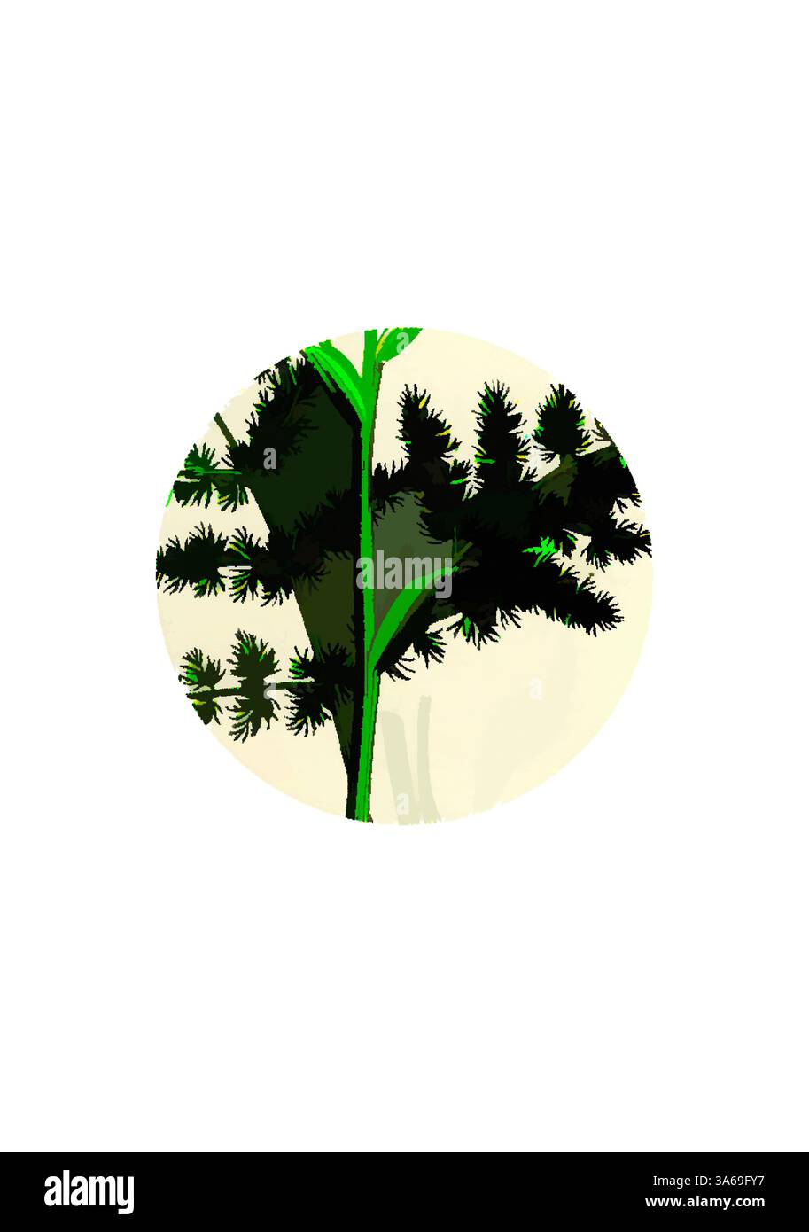 A stylized depiction of a fern, showcasing its intricate leaves and ...