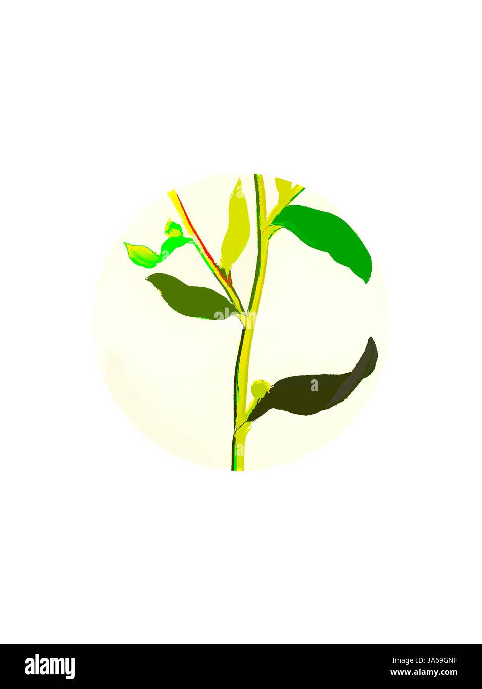 Subtle nuances of color hi-res stock photography and images - Alamy