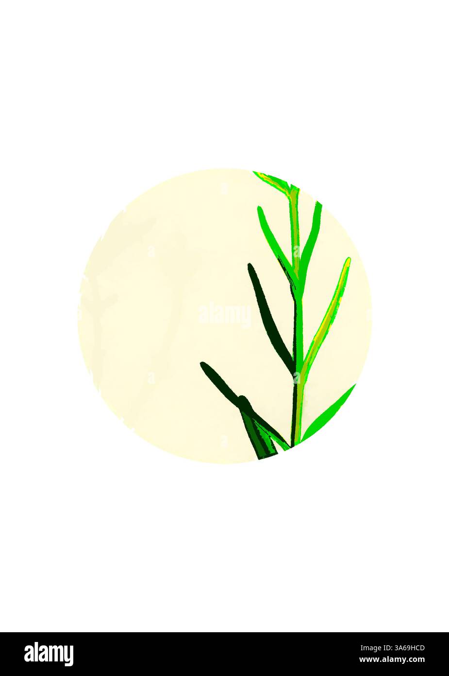 A delicate green sprout rises elegantly within a soft, circular ...