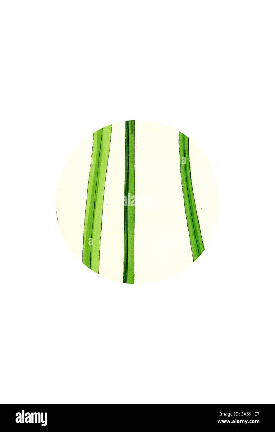 A circular design featuring vertical green lines against a light ...