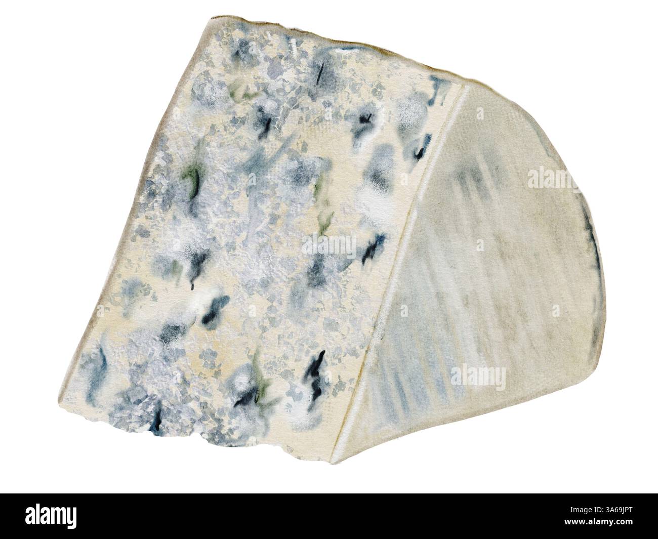 Dorblu cheese watercolor. Hand drawn piece of cheese with blue noble ...