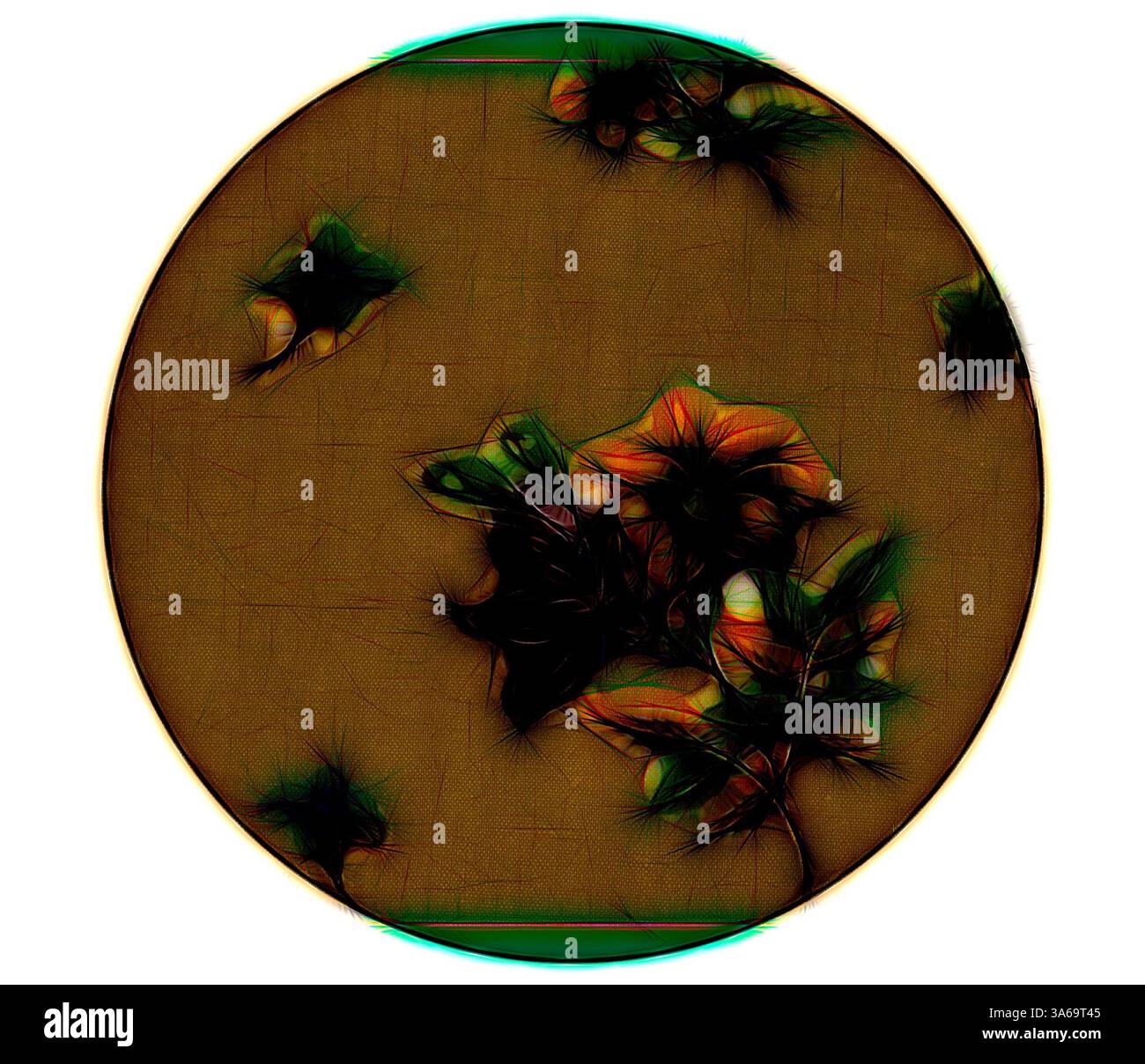 A circular composition featuring abstract floral elements intertwined ...
