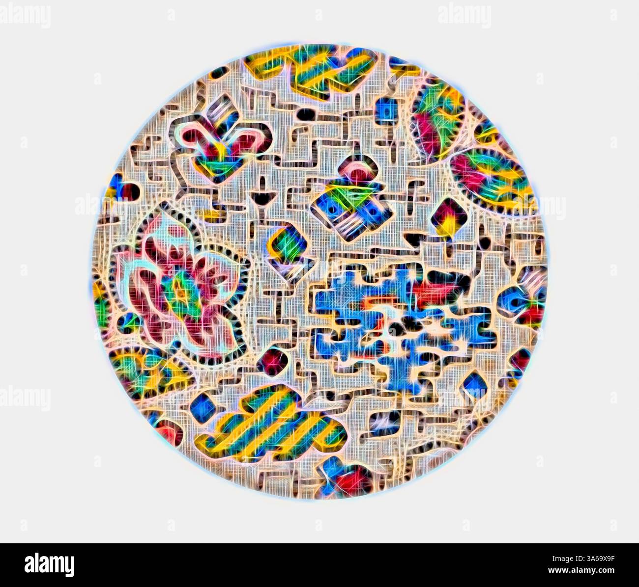 An intricate design featuring an array of colorful floral and geometric ...