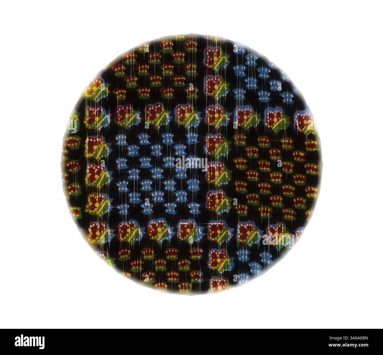 Detailed cellular arrangements hi-res stock photography and images - Alamy