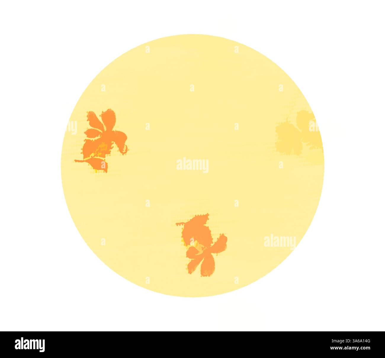 A vibrant yellow circle adorned with softly detailed orange leaves ...