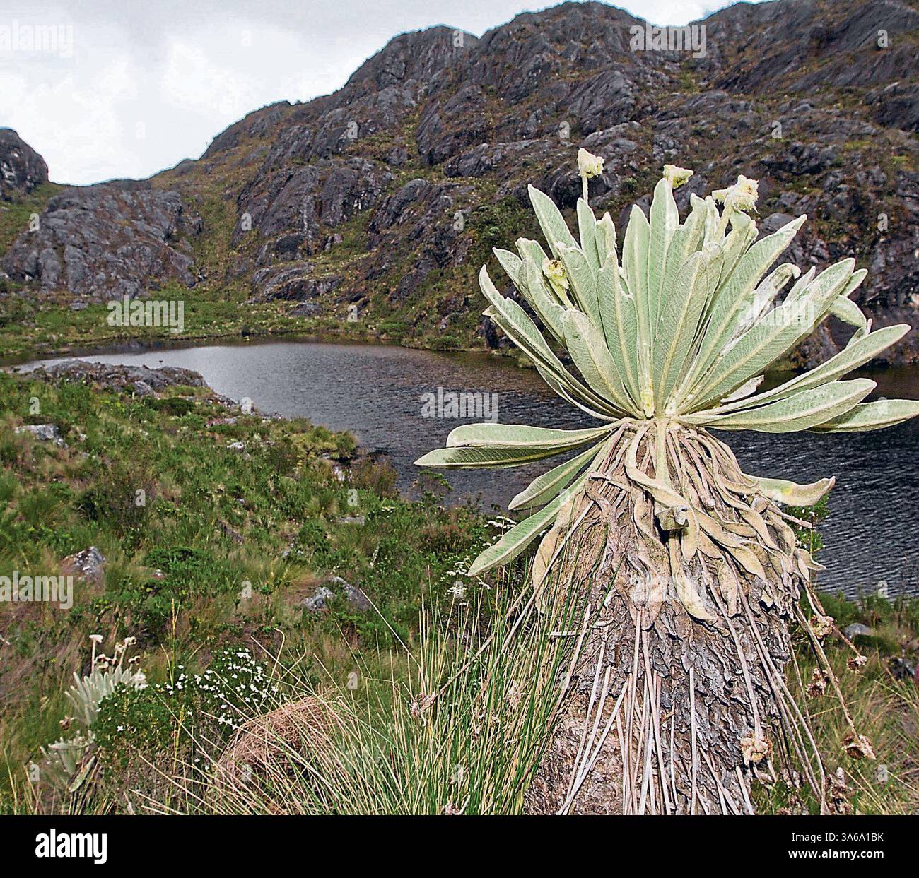 Acueductos de agua hi-res stock photography and images - Alamy