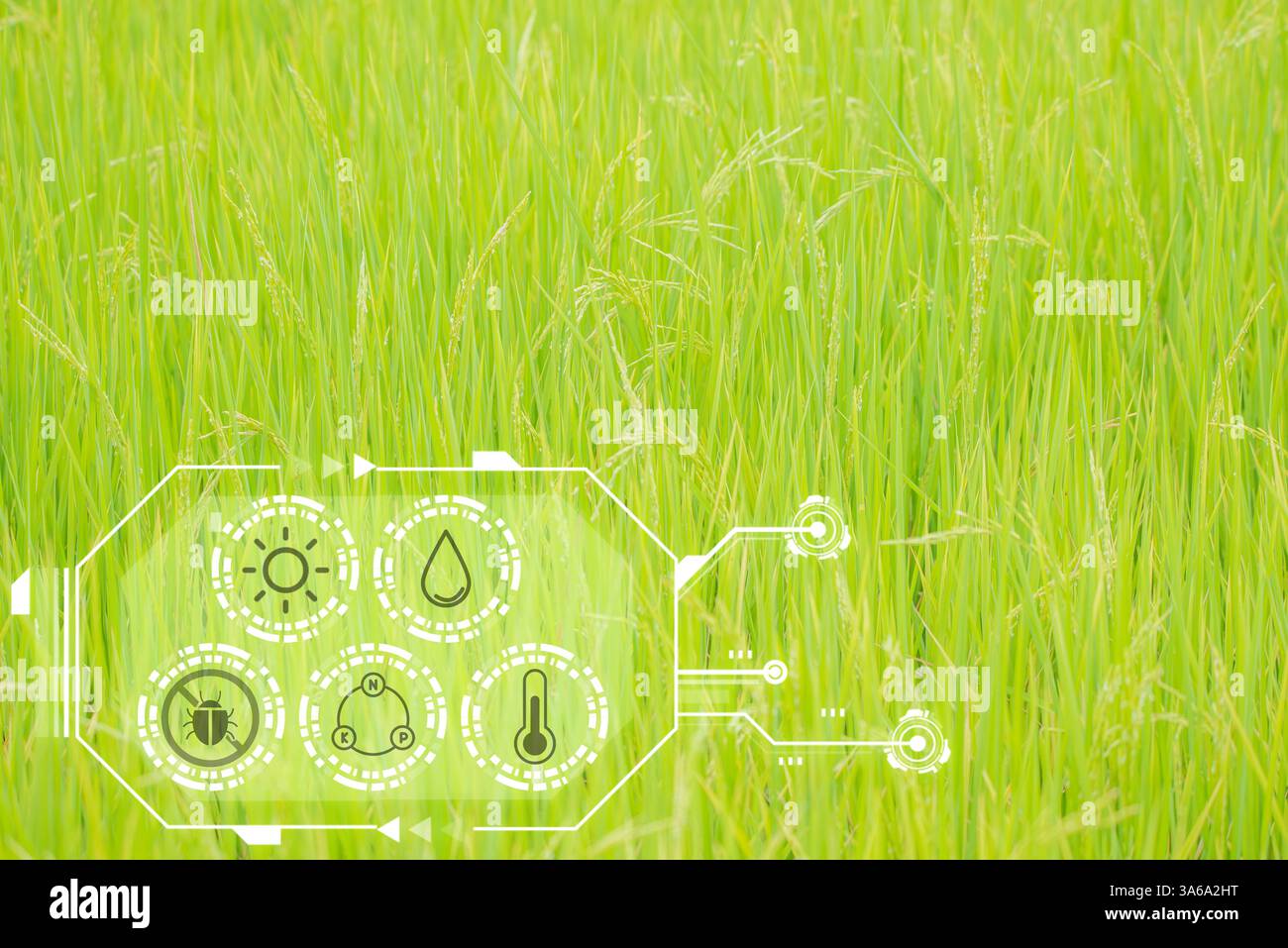 Smart farm digital icon and futuristic AI data infographic of Landscape ...