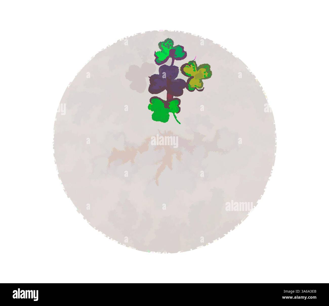 A delicate arrangement of three clover leaves atop a soft, circular ...