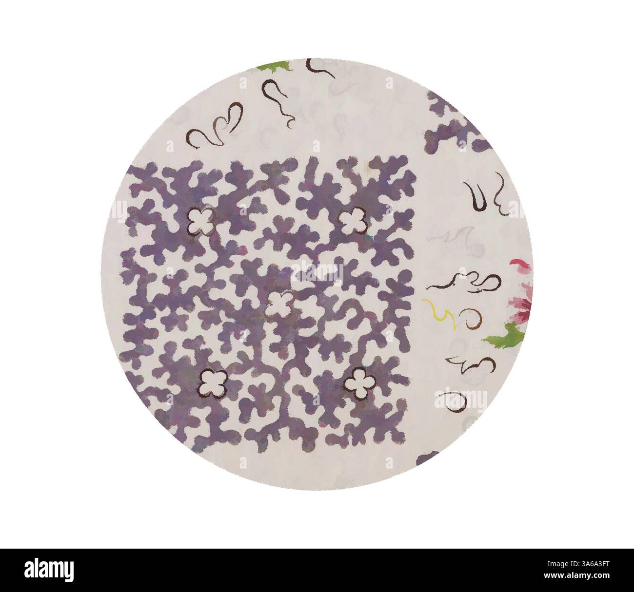 A circular canvas features an intricate design combining organic shapes ...