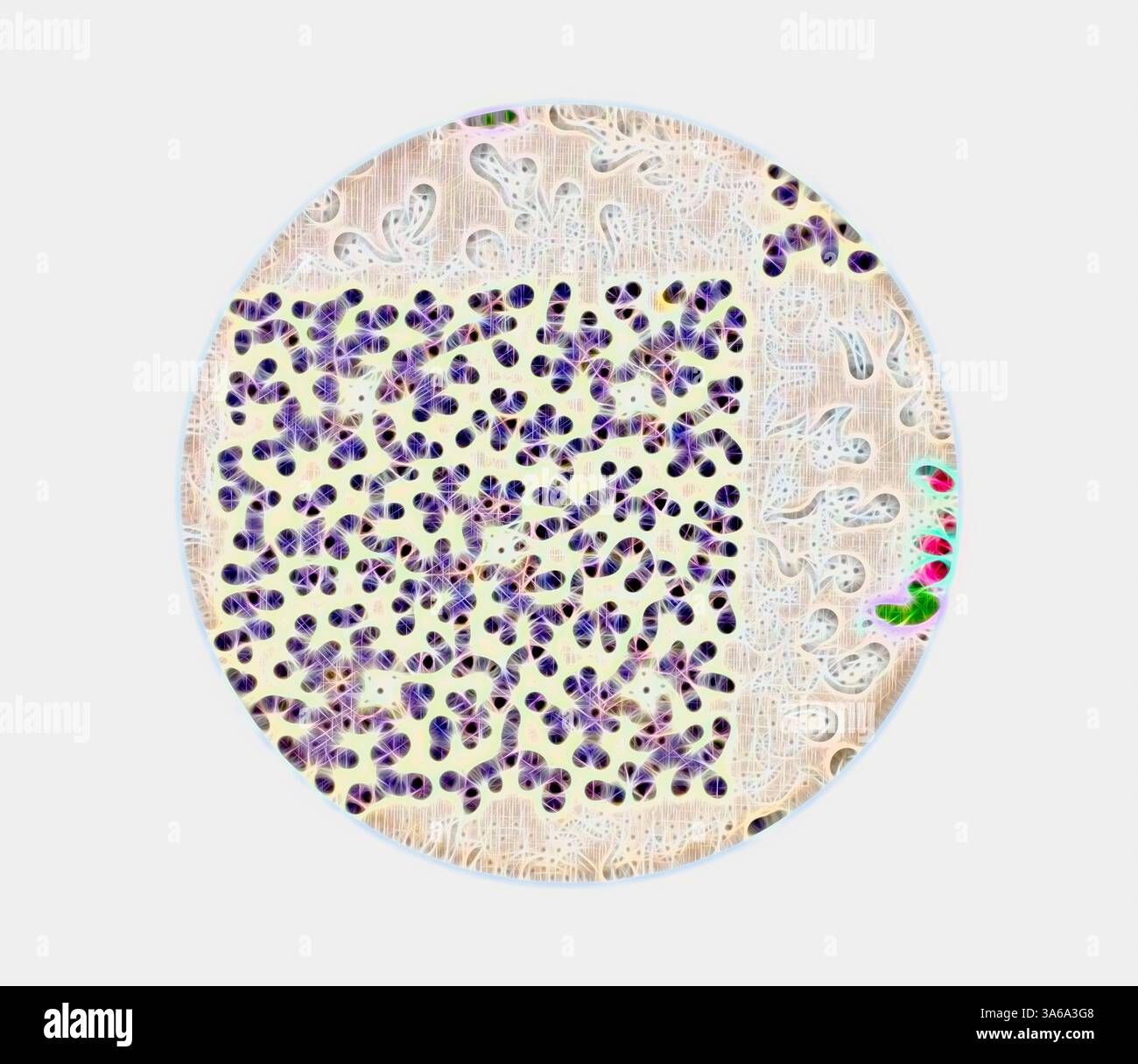 An abstract composition featuring a central pattern of intricate ...