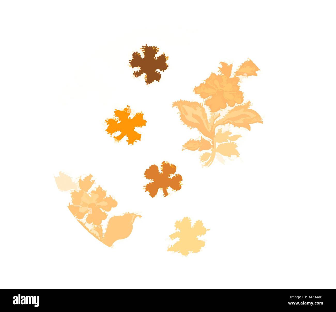 Abstract floral shapes in warm shades of orange hi-res stock ...