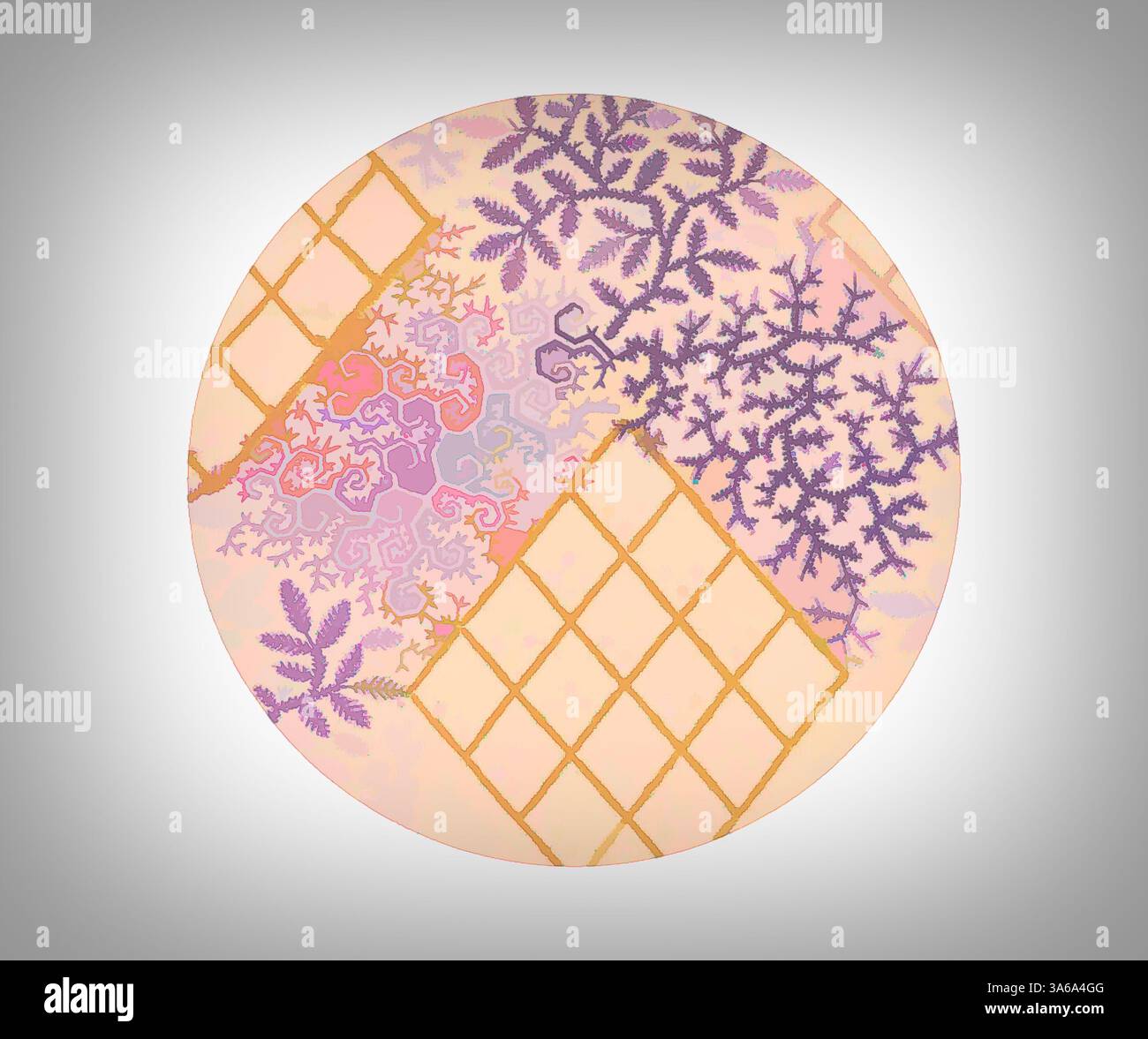 A round plate featuring an intricate design that combines delicate ...