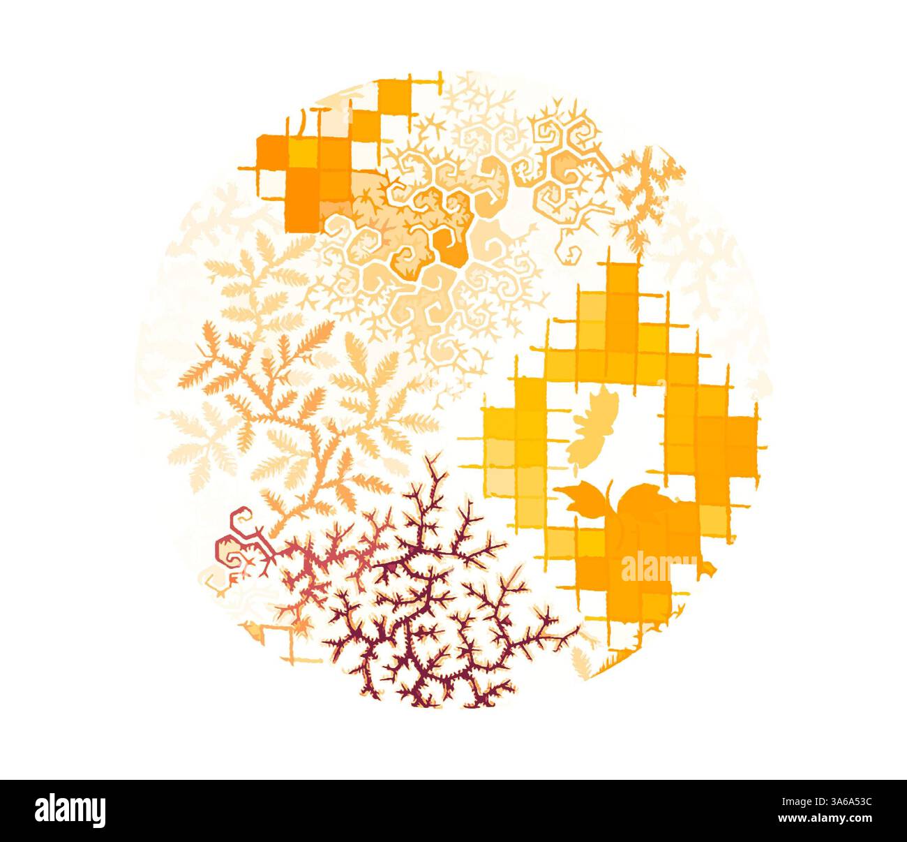 A vibrant circular composition blends intricate patterns and textures ...
