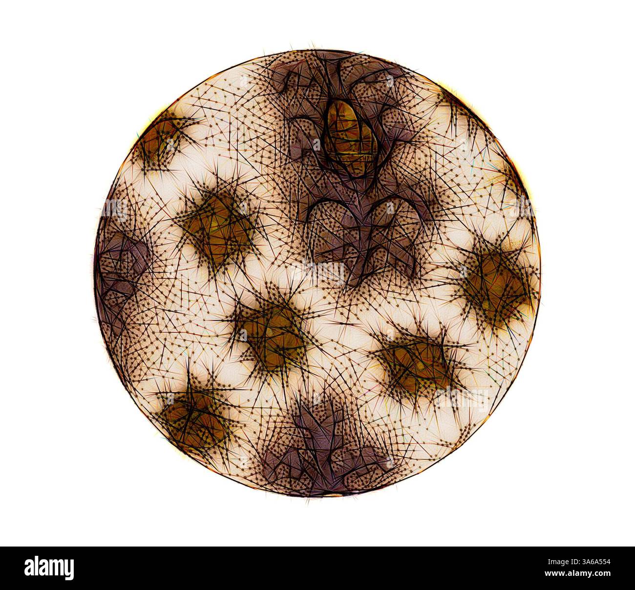 Resembling plant forms hi-res stock photography and images - Alamy