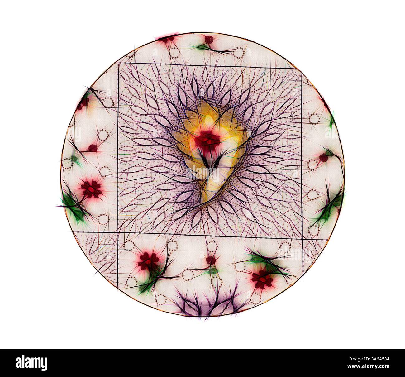 Abstract representation of natures forms hi-res stock photography and ...