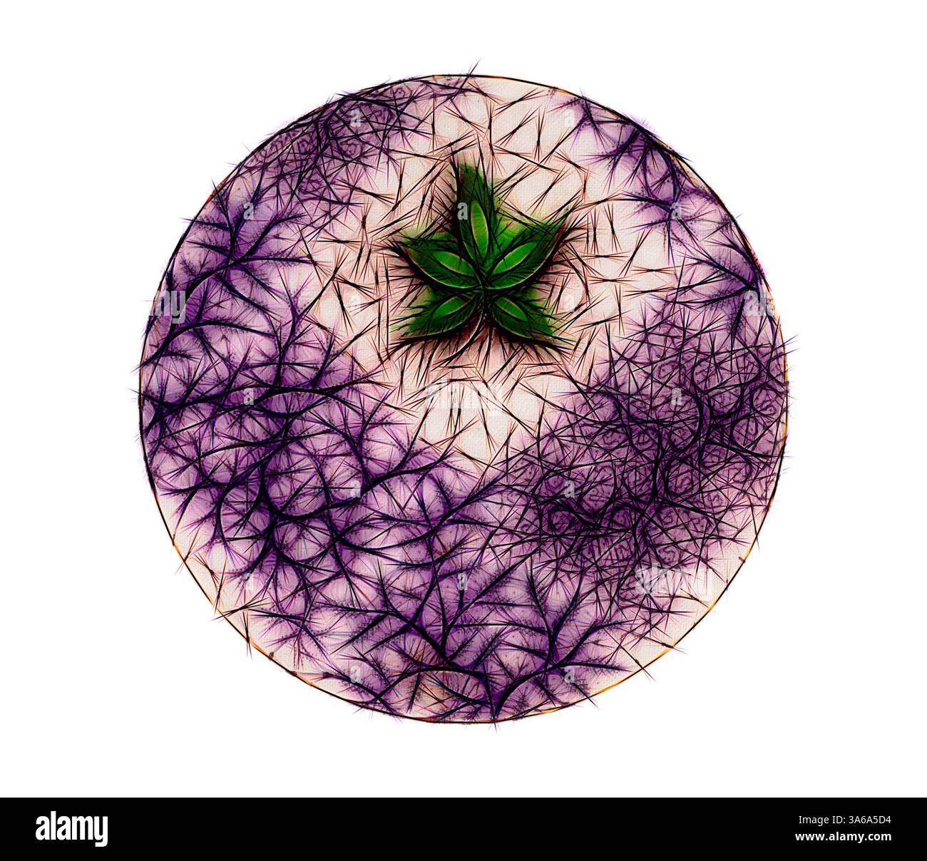 Branching lines create hi-res stock photography and images - Alamy