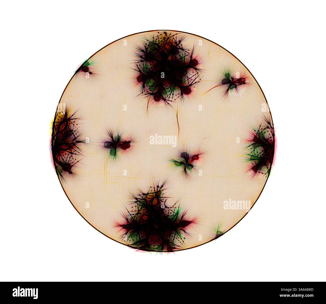 Spiky patterns in vibrant shades hi-res stock photography and images ...