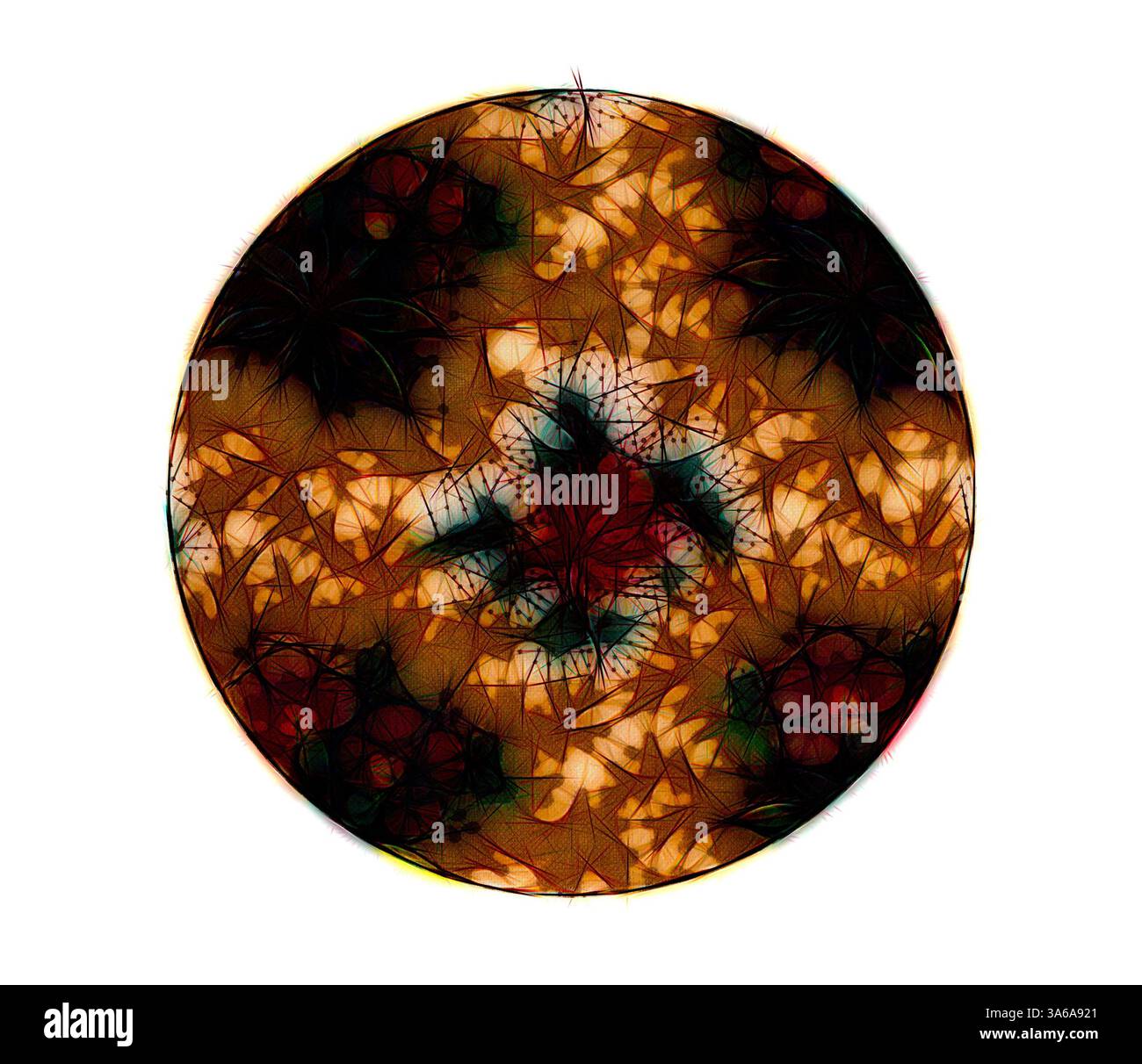 Mesmerizing focal point hi-res stock photography and images - Alamy