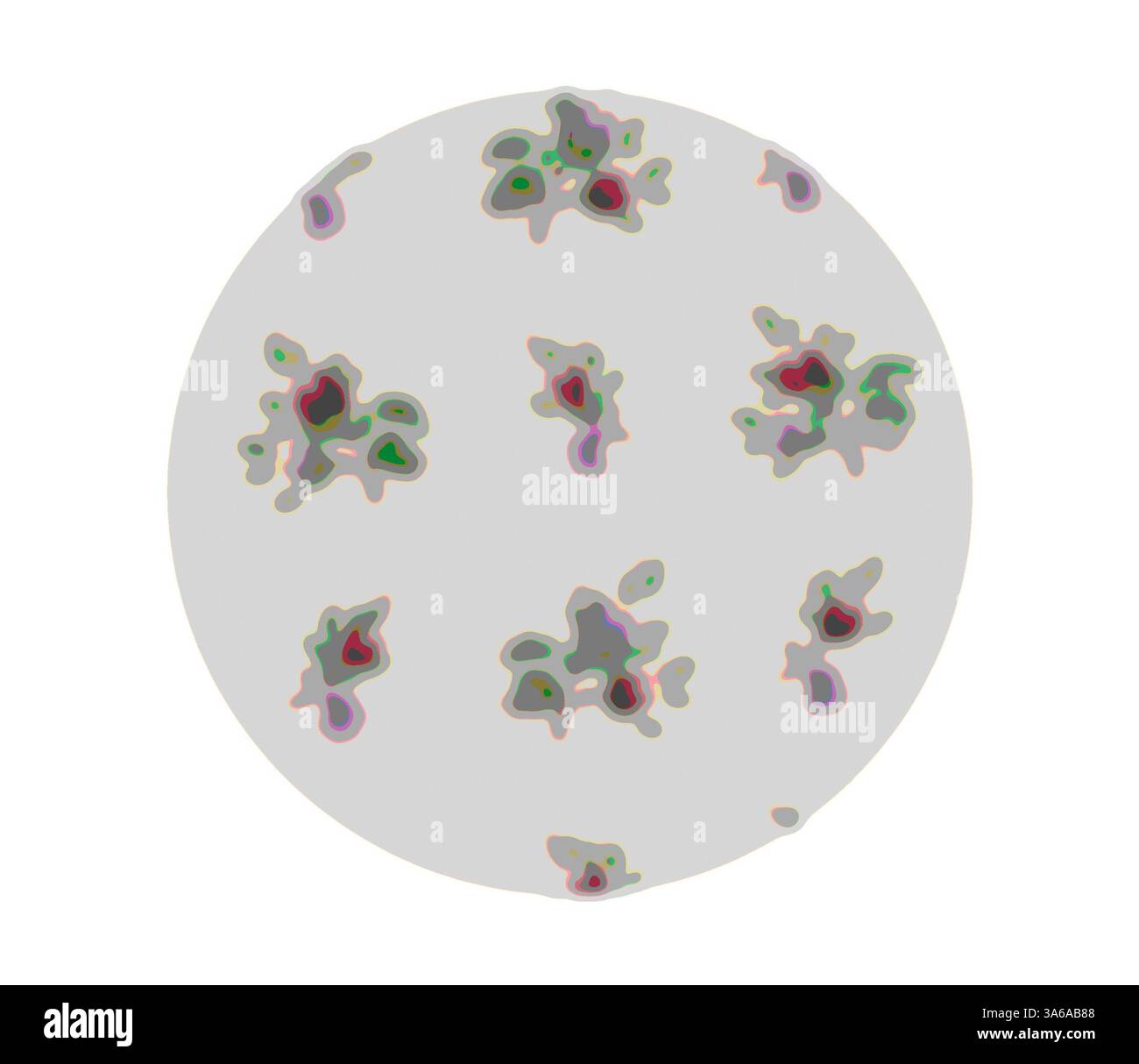 Irregular patterns in shades of green hi-res stock photography and ...